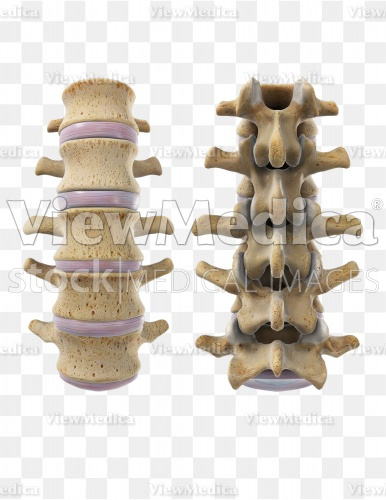 ViewMedica