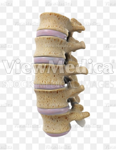 ViewMedica